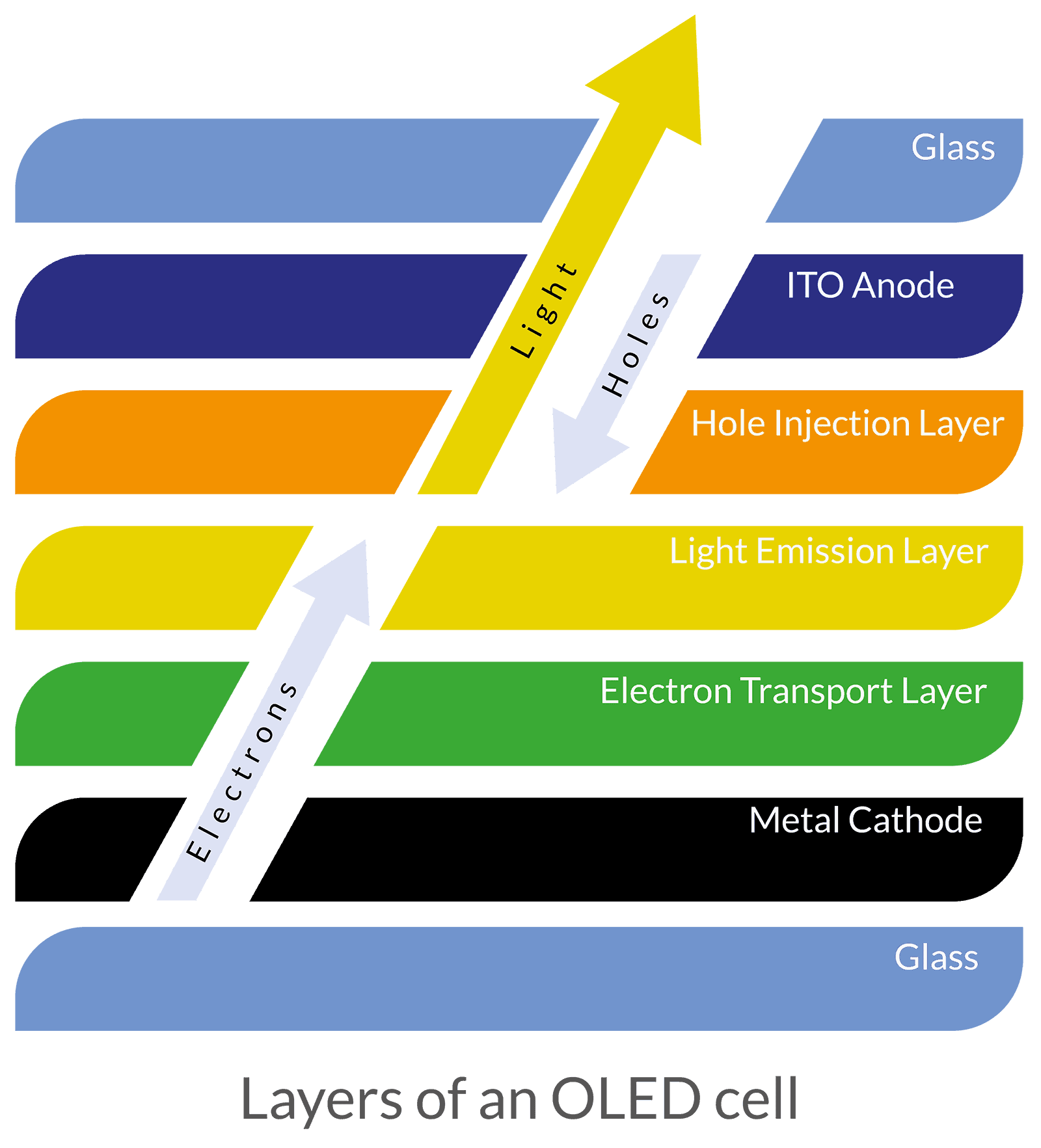 Custom OLED Display Modules | Transparent OLED Displays